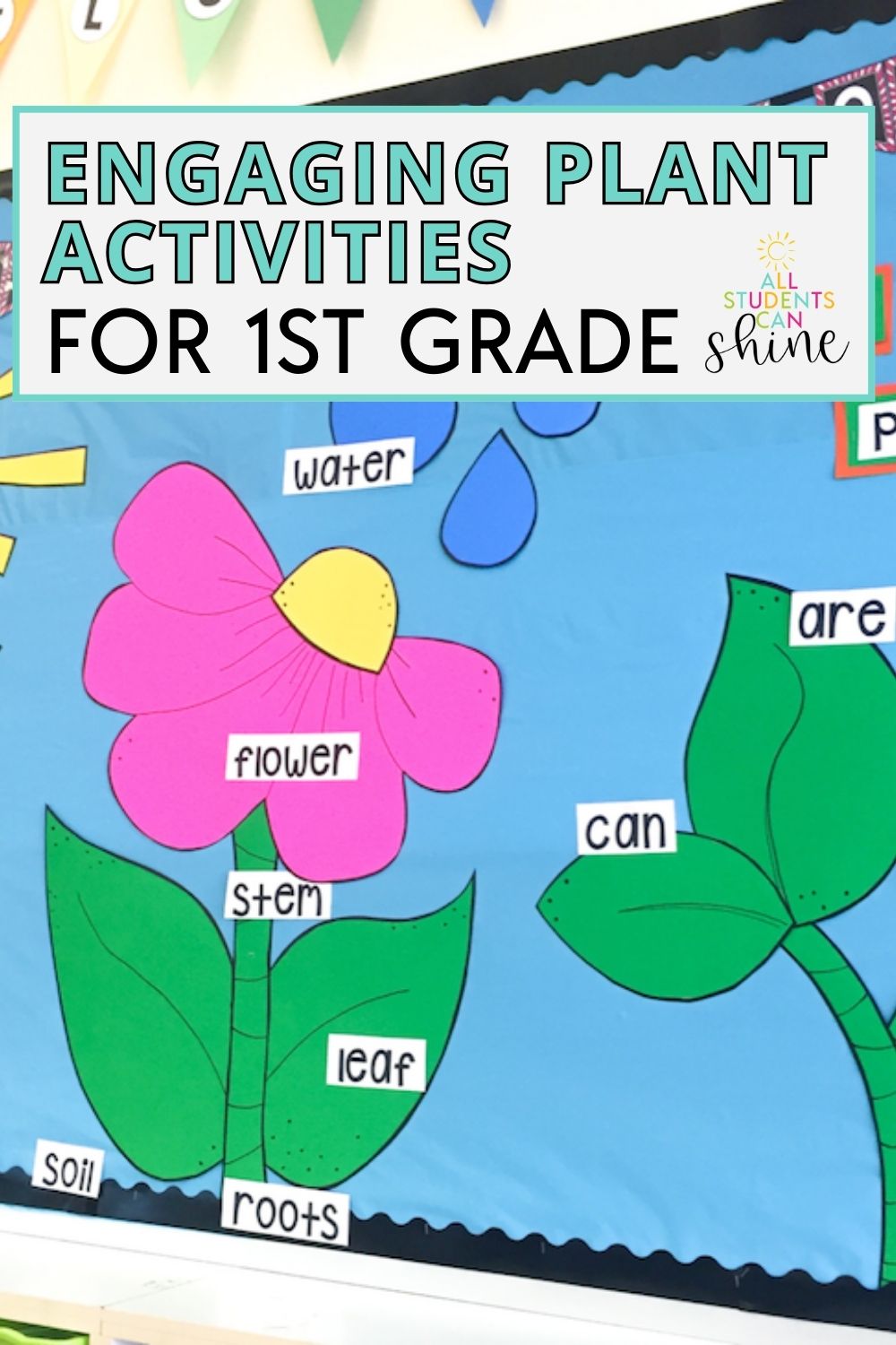 Engaging Plant Activities for 1st Grade - All Students Can Shine