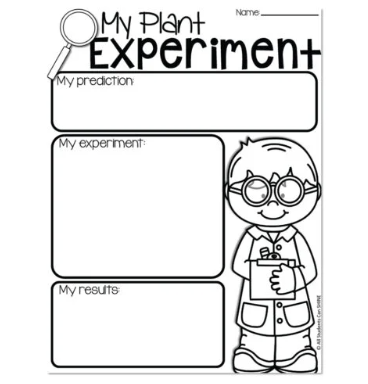 Engaging Plant Activities for 1st Grade - All Students Can Shine