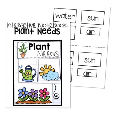 Engaging Plant Activities for 1st Grade - All Students Can Shine