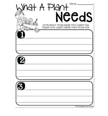 Engaging Plant Activities for 1st Grade - All Students Can Shine