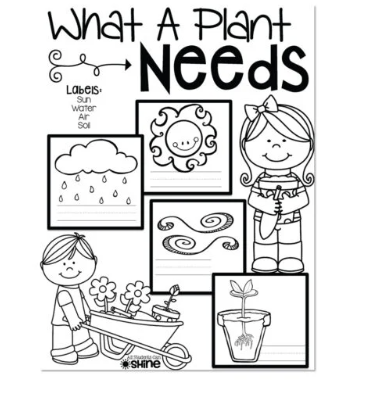 Engaging Plant Activities for 1st Grade - All Students Can Shine