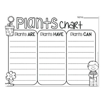 Engaging Plant Activities for 1st Grade - All Students Can Shine