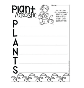 Engaging Plant Activities for 1st Grade - All Students Can Shine