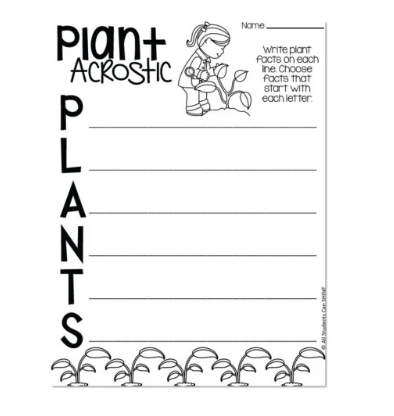 Engaging Plant Activities for 1st Grade - All Students Can Shine