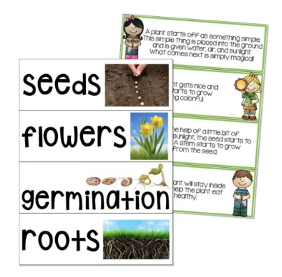 Engaging Plant Activities for 1st Grade - All Students Can Shine