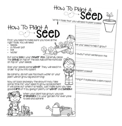 Engaging Plant Activities for 1st Grade - All Students Can Shine