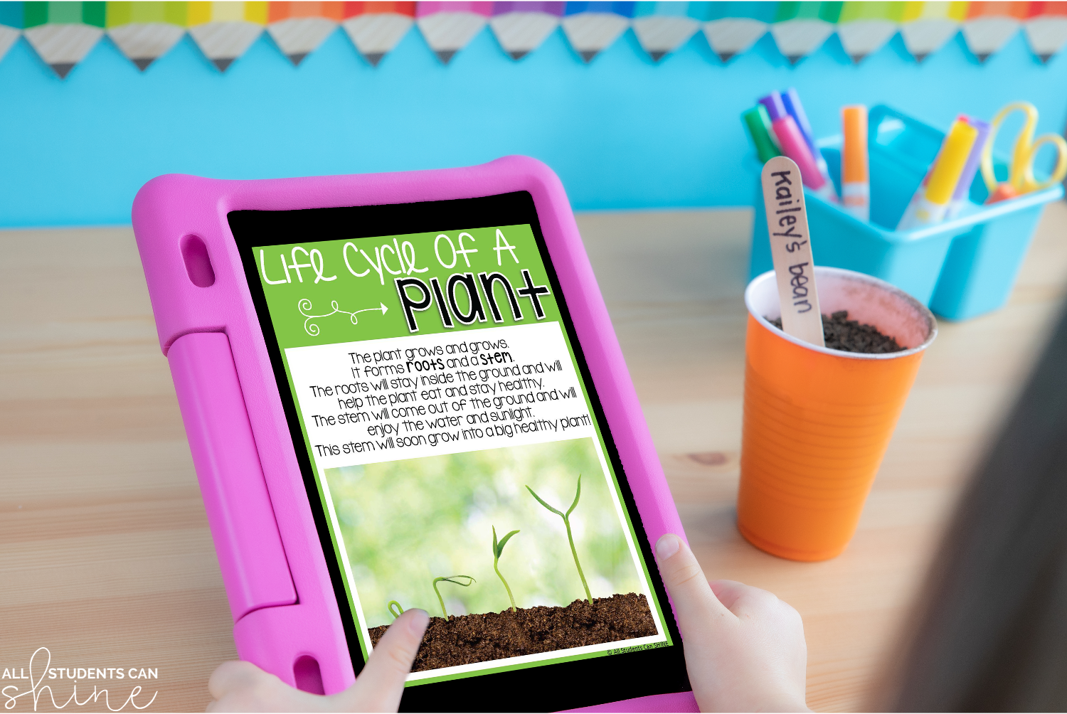 Engaging Plant Activities for 1st Grade - All Students Can Shine