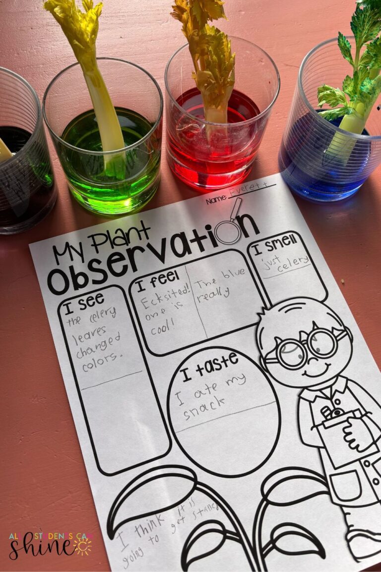 5 Science Experiments to Teach Kids About Plants - All Students Can Shine