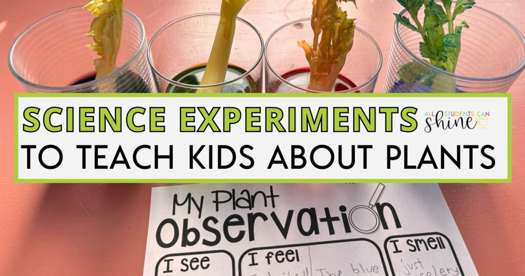 5 Science Experiments to Teach Kids About Plants - All Students Can Shine
