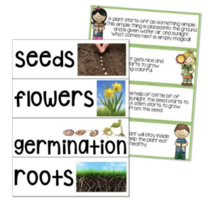 5 Science Experiments to Teach Kids About Plants - All Students Can Shine
