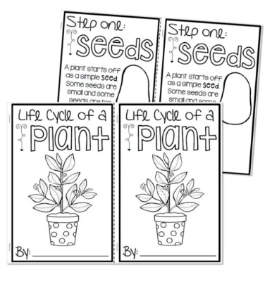 5 Science Experiments to Teach Kids About Plants - All Students Can Shine